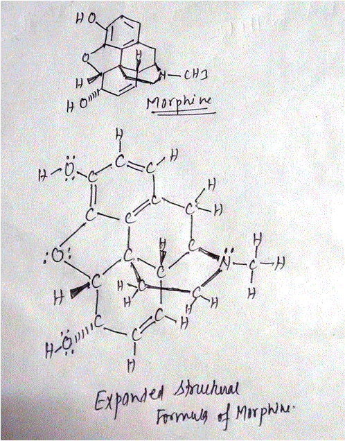 Morphine Lewis Structure Synthesis Of Carfentanil Amide Opioids Using