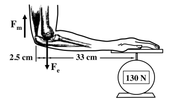 Solved Q1. A person’s hand exerts a force of 130 N down on | Chegg.com