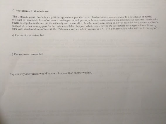 Solved The Colorado potato beetle is a significant | Chegg.com