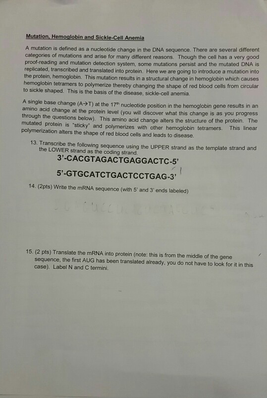 Solved Mutation, Hemoglobin and Sickle-Cell Anemia A | Chegg.com