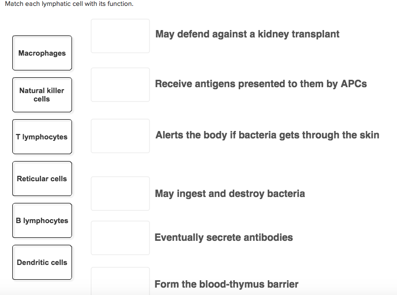 Solved Match each lymphatic cell with its function. May | Chegg.com