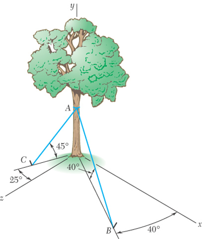 Solved To stabilize a tree that is partially uprooted in a | Chegg.com