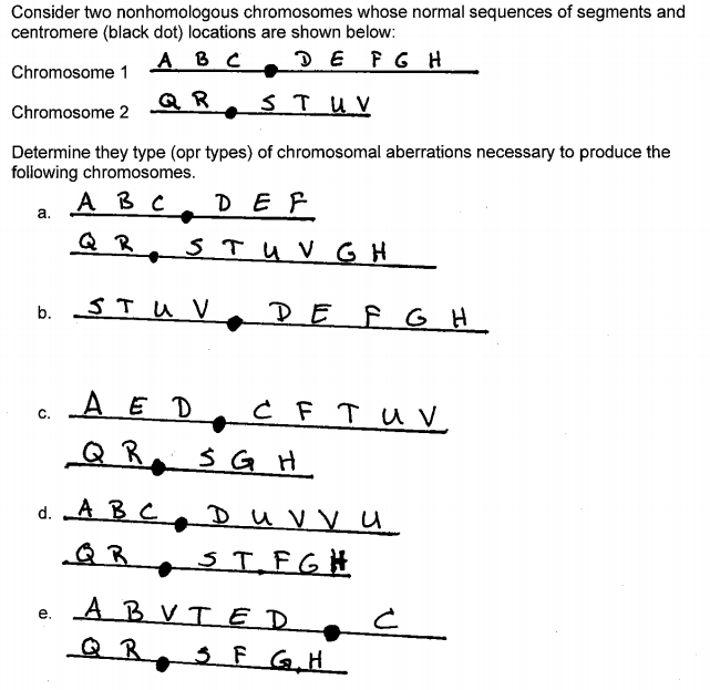 Solved Consider two nonhomologous chromosomes whose normal | Chegg.com