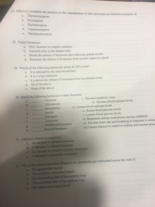 Solved Part II: True/False - Identify if each of the | Chegg.com