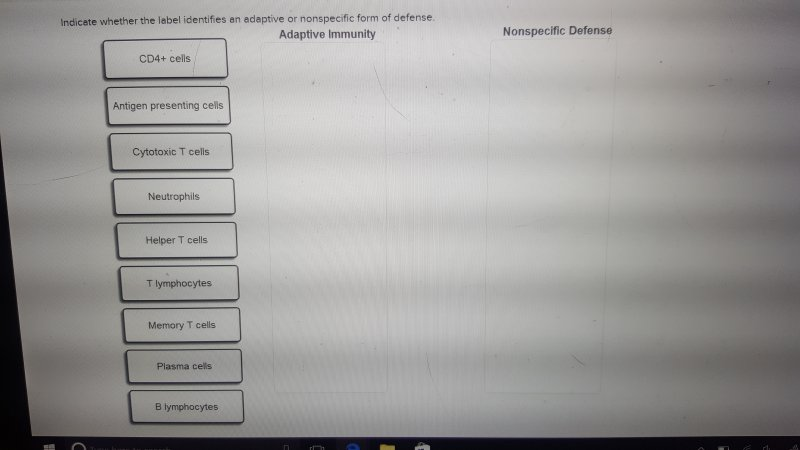 Solved Indicate whether the label identifies an adaptive or | Chegg.com