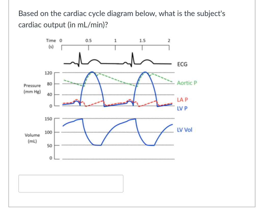 Cardiac Cycle Ecg