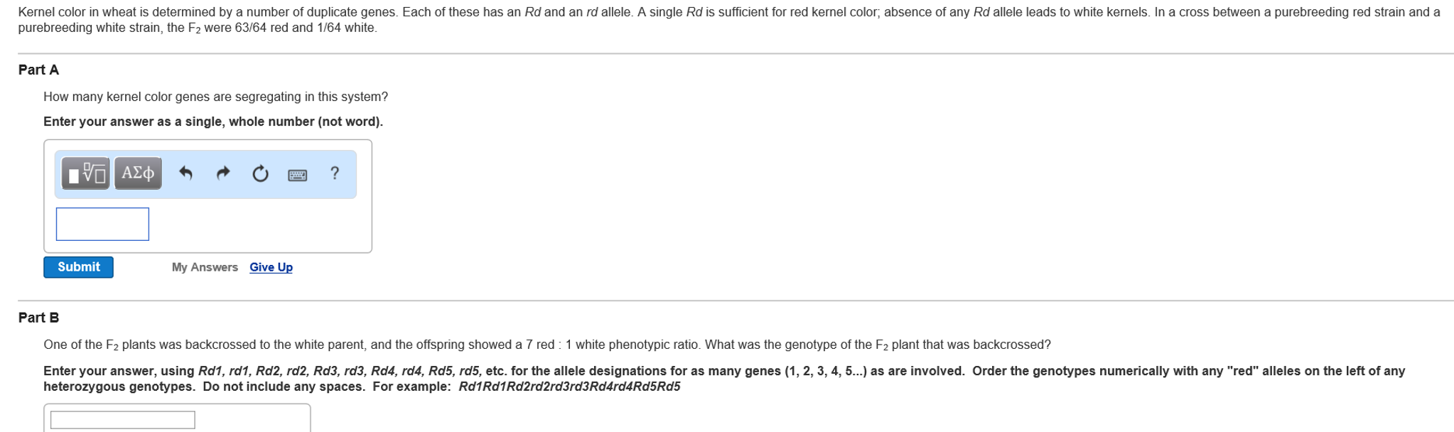 Kernel color in wheat is determined by a number of | Chegg.com