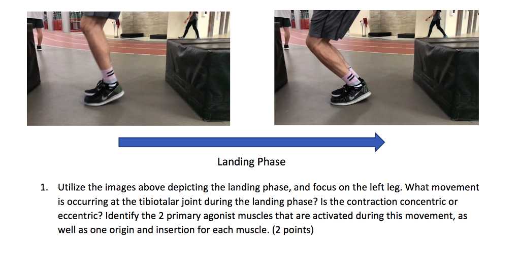 Solved Landing Phase 1. Utilize the images above depicting | Chegg.com