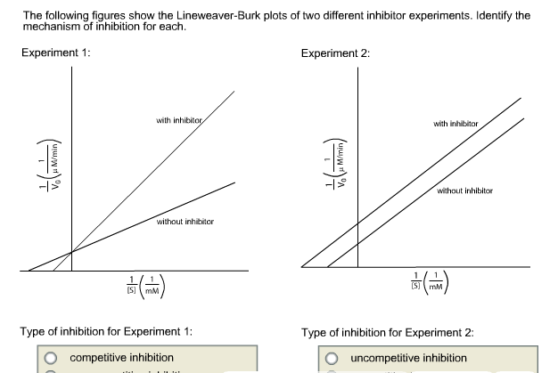 Competitive Inhibition Lineweaver Burk Plot