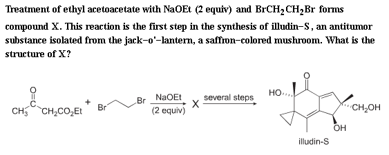 Solved Treatment of ethyl acetoacetate with NaOEt (2 equiv) | Chegg.com