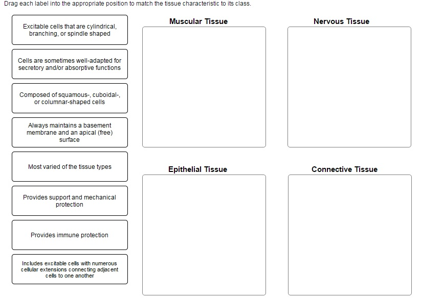 Solved Drag Each Label Into The Appropriate Position To
