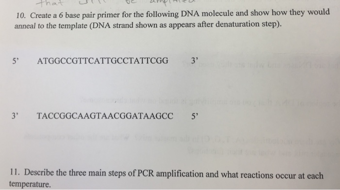 Solved Create a 6 base pair primer for the following DNA | Chegg.com
