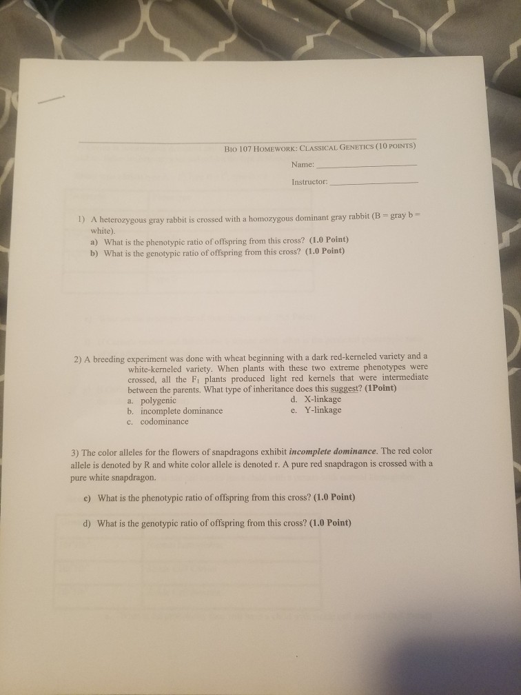 Solved Bio 107 HoMEWORK: CLASSICAL GENETICS (10 POINTS) | Chegg.com