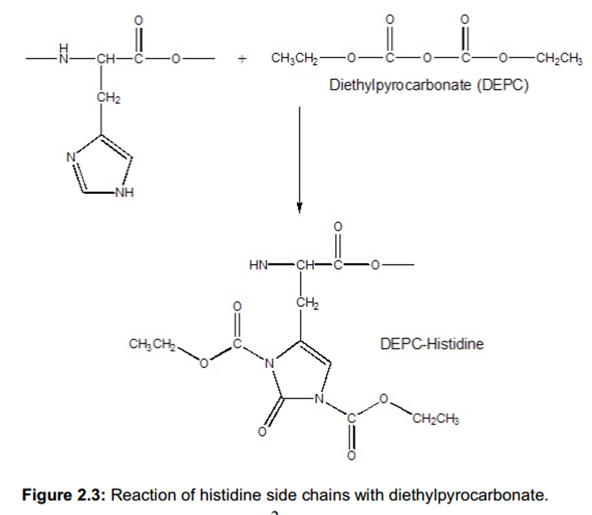 Solved Binding studies were carried out in which heparin | Chegg.com