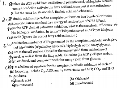 Calculate the ATP yeild for the oxidation of plamic | Chegg.com