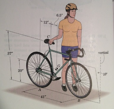 Solved: A Rider Holds Her Bicycle At The 10 Degree Angle S... | Chegg.com