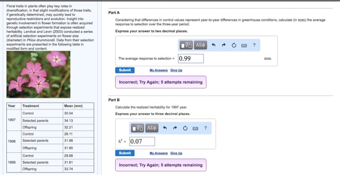 Solved Floral traits in plants oten play key roles in | Chegg.com