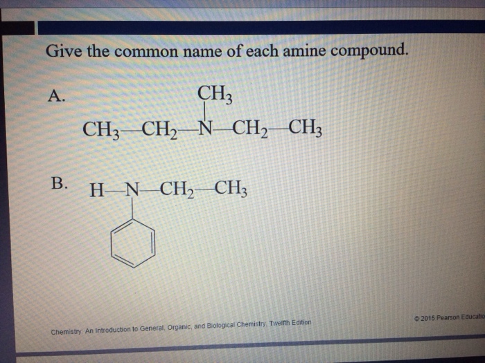 Solved Give the common name of each amine compound. | Chegg.com