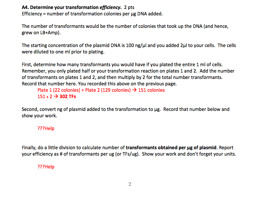 Transformation Efficiency