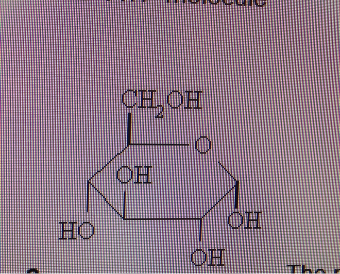 Solved What molecule is this?Polyhydroxy aldehyde molecule | Chegg.com