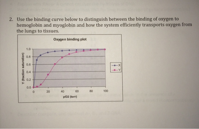 Solved Use the binding curve below to distinguish between | Chegg.com