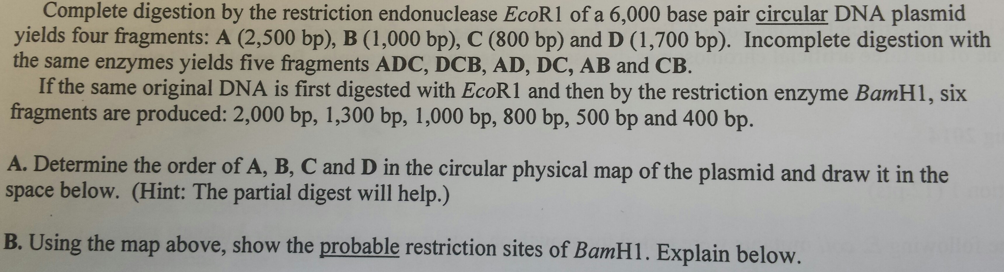 Solved Complete digestion by the restriction endonuclease | Chegg.com