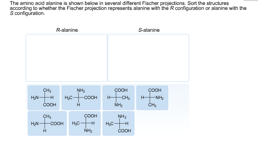 Solved The amino acid alanine is shown below in several | Chegg.com