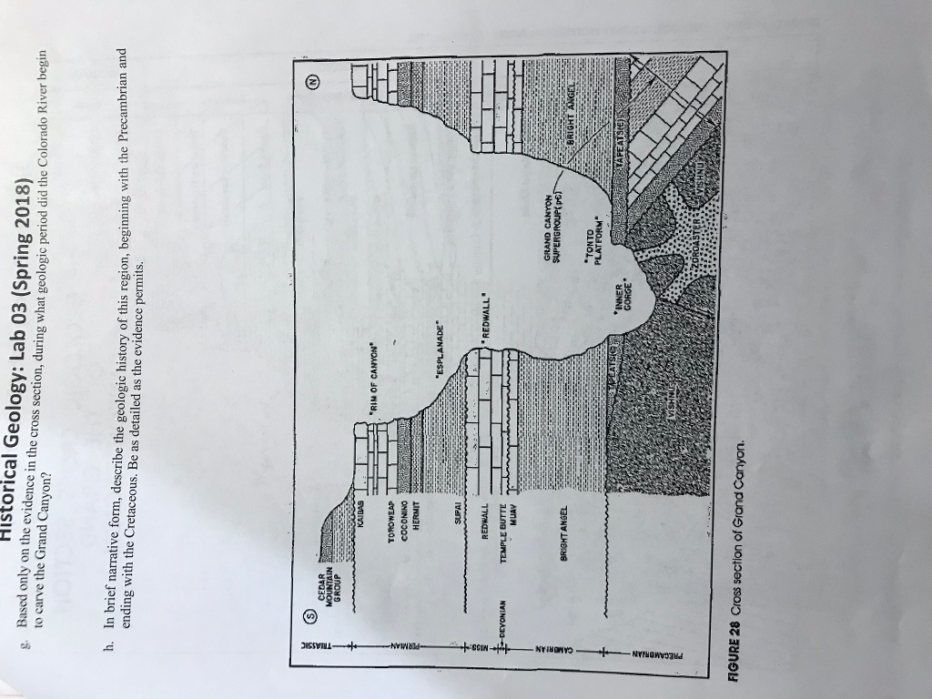 Solved EXERCISE ID: INTERPRETING THE GEOLOGIC HISTORY OF THE | Chegg.com