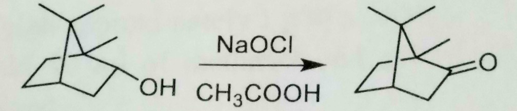 Solved Oxidation of Isoborneol to Camphor - | Chegg.com