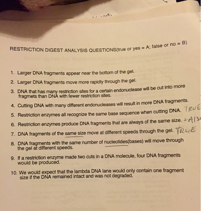 Solved Restriction Digest Analysis Questions True Or Yes