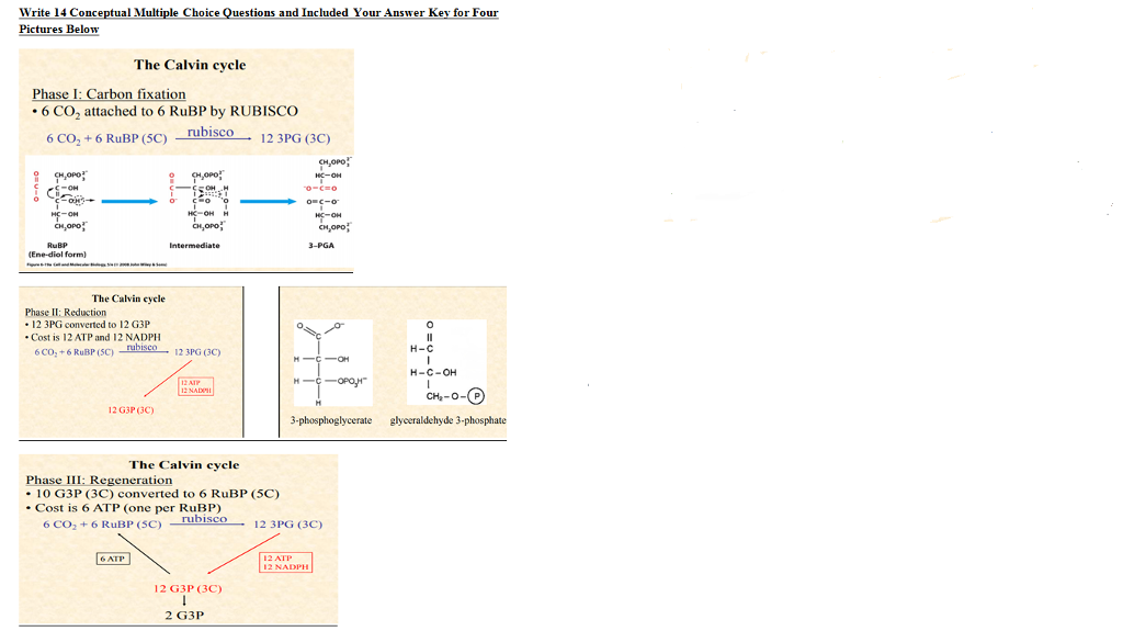 Solved Note: Write 14 Conceptual Multiple Choice Questions | Chegg.com