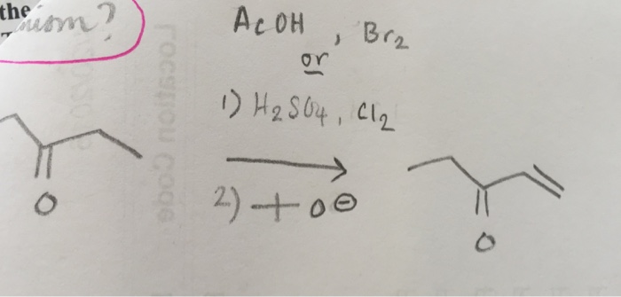 Solved Hi, can you explain to me how these ochem reactions | Chegg.com