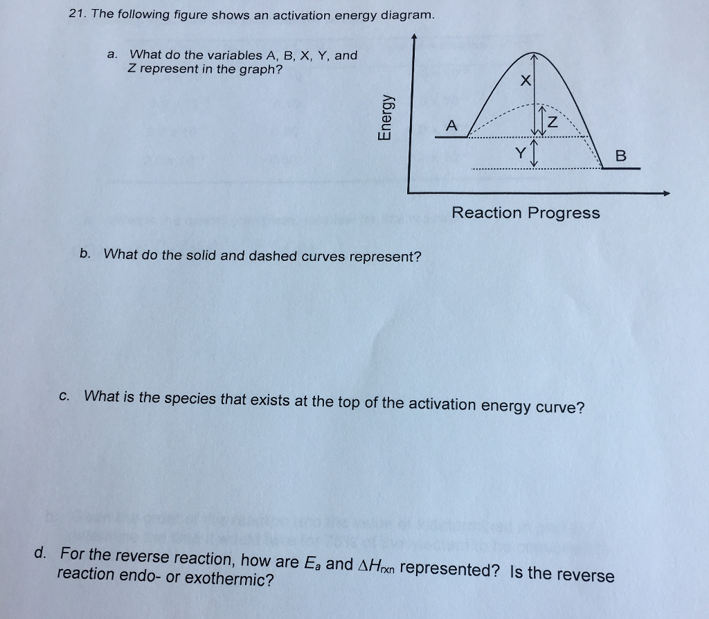Solved 21. The following figure shows an activation energy | Chegg.com