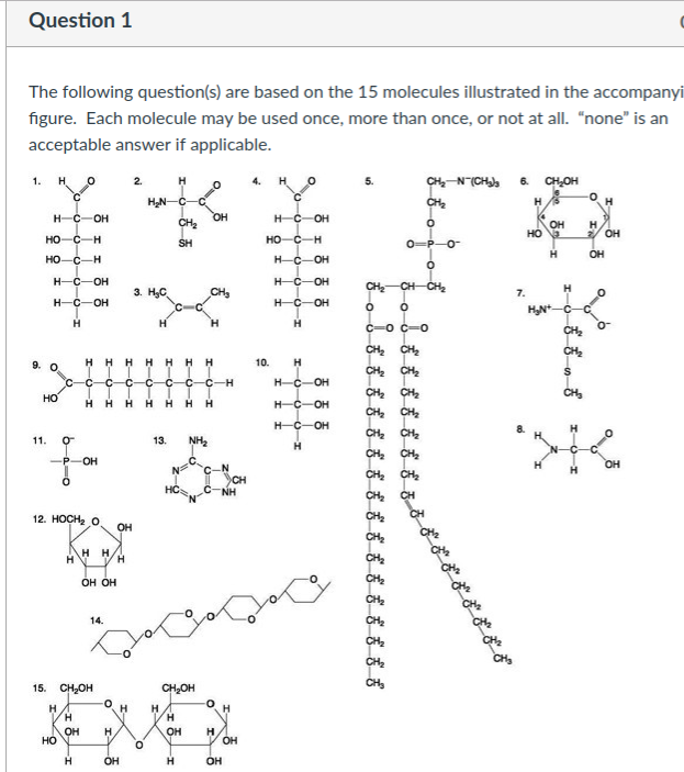 The Following Questions Are Based on the 15 Molecules Illustrated - Ciara-has-Palmer