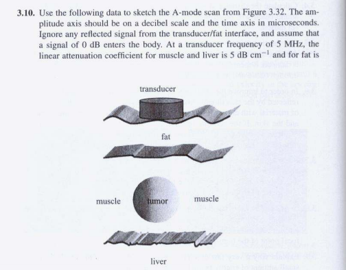 Solved Use the following data to sketch the A-mode scan from | Chegg.com