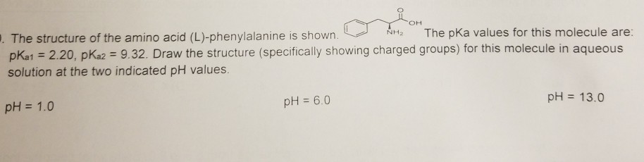Solved . The structure of the amino acid (L)-phenylalanine | Chegg.com