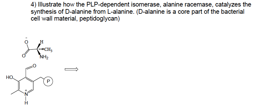 Solved 4) Illustrate how the PLP-dependent isomerase, | Chegg.com