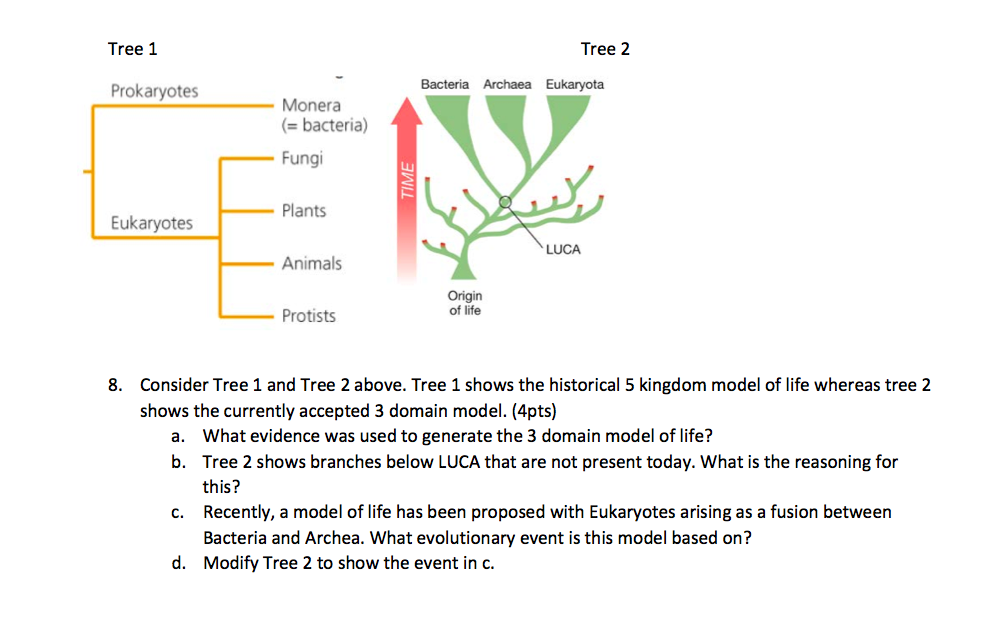Solved Consider Tree 1 and Tree 2 above. Tree 1 shows the | Chegg.com