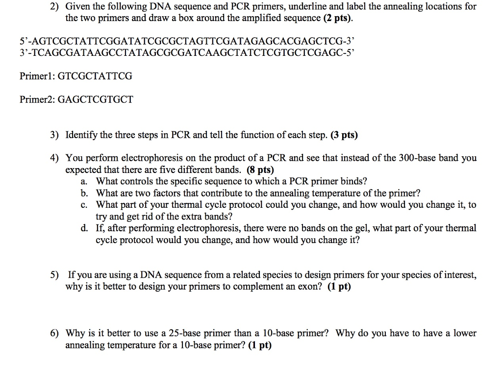 Solved 2) Given the following DNA sequence and PCR primers, | Chegg.com