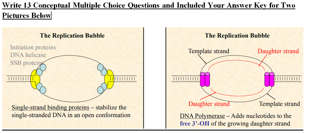 Solved Note: Write 13 Conceptual Multiple Choice Questions | Chegg.com