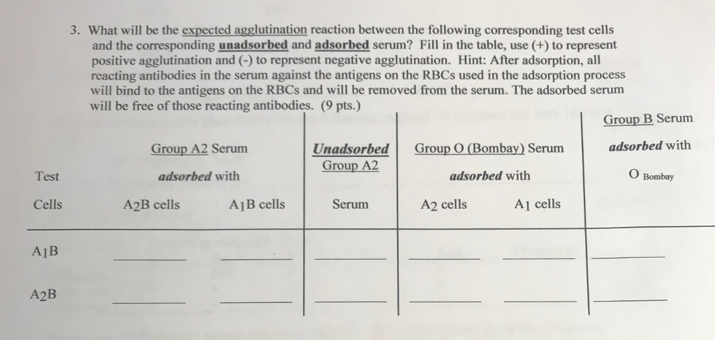 Solved 3. What will be the expected agglutination reaction | Chegg.com
