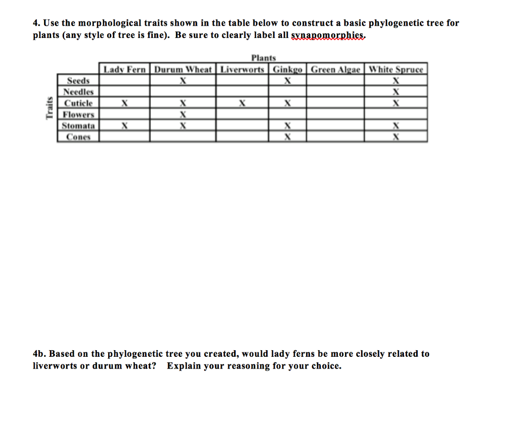 Solved 4. Use the morphological traits shown in the table | Chegg.com