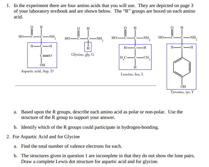 Leucine Structure R Group
