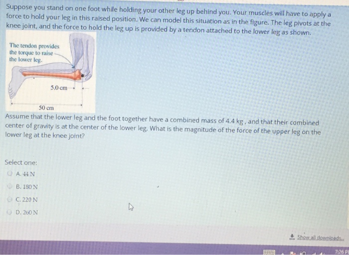 Solved Suppose you stand on one foot while holding your | Chegg.com