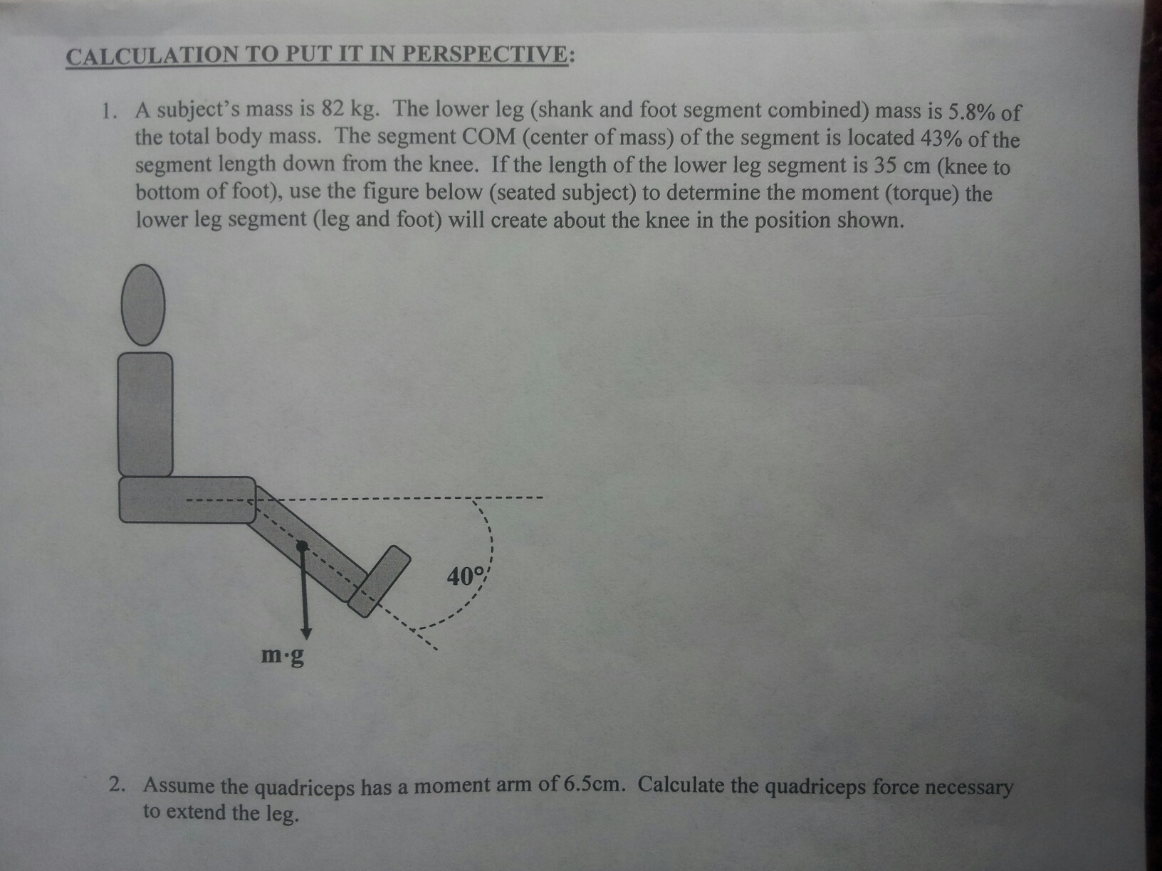 A subject's mass is 82 kg. The lower leg (shank and | Chegg.com