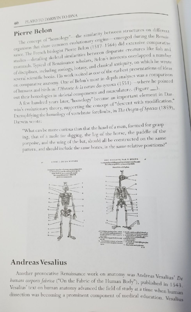 Solved CHAPTER 6 Renaissance and Biology lhe European | Chegg.com