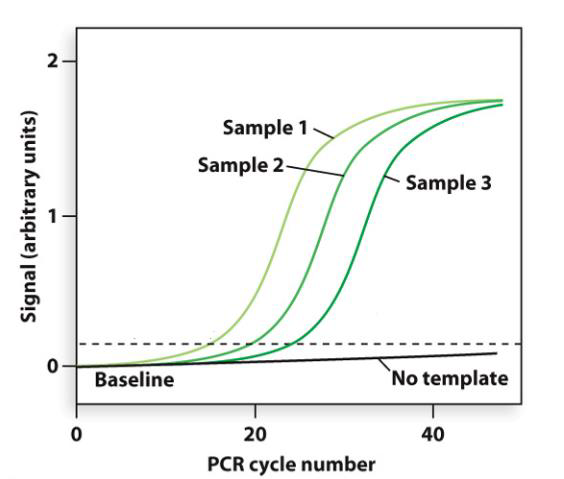 Solved ASSIGNMENT A qPCR analysis was performed on three | Chegg.com