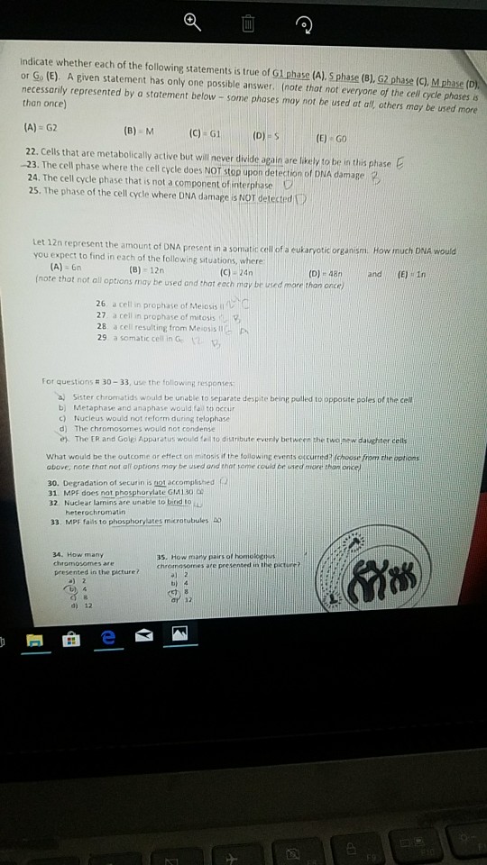 indicate whether each of the following statements is | Chegg.com