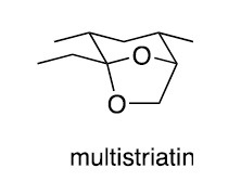 Solved Dutch elm disease is caused by a fungus transmitted | Chegg.com