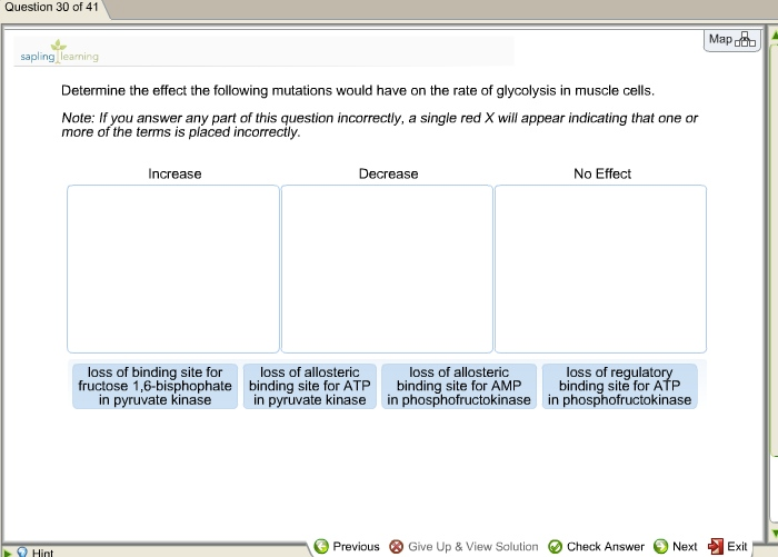Solved Determine the effect the following mutations would | Chegg.com